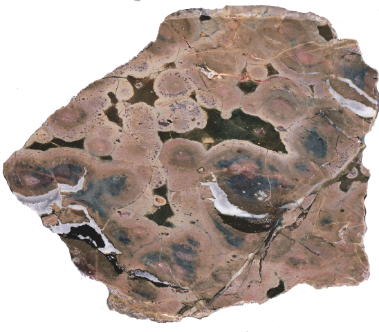 Polished Rock Specimens and Slabs from Around the World for Sale PAGE 1